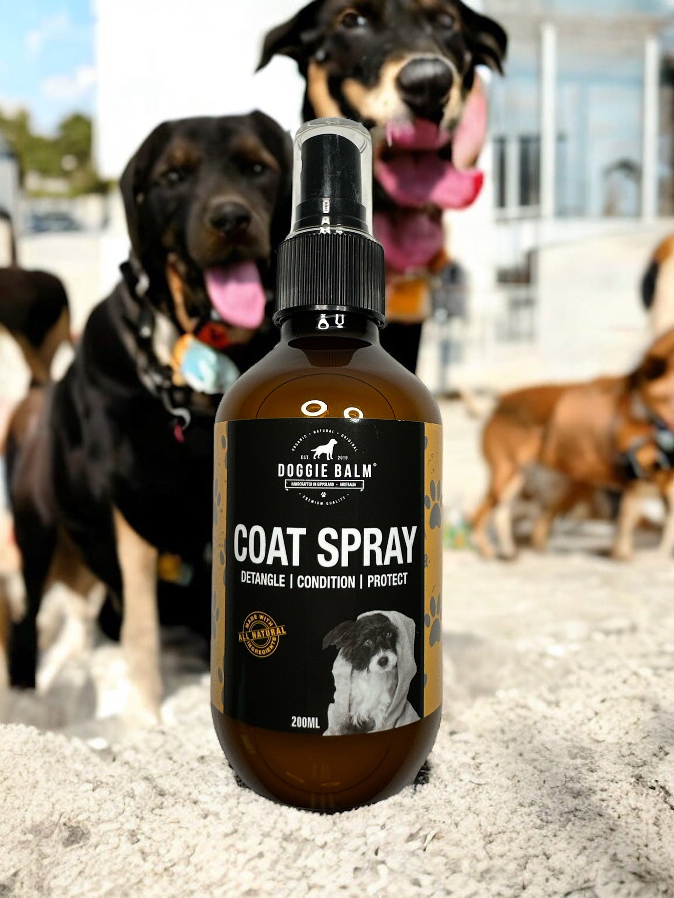 DOG Coat Spray Conditioner and Detangler Grooming Essential. Formulate ...