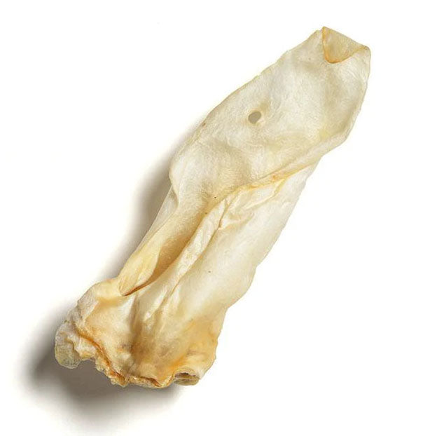 Aussie Roo Ears - No Fur (5 Pack) – The Doggie Balm Co.